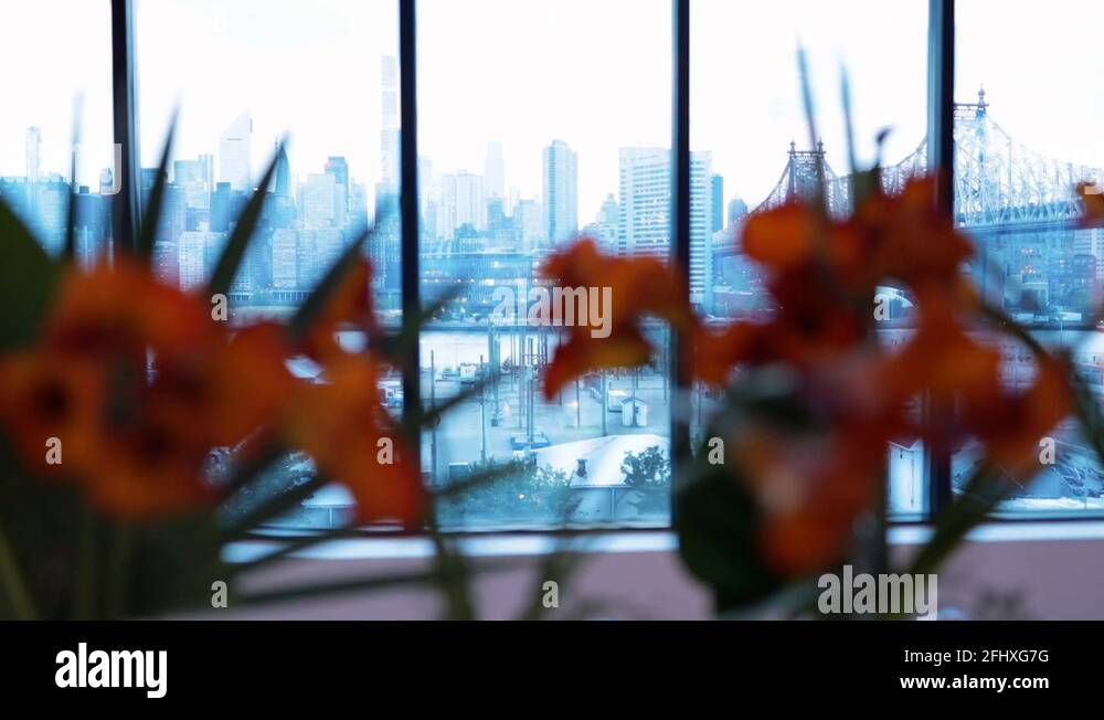 Gimbal of Modern Formal Dining Table With New York City View Stock ...