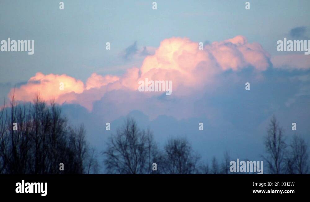 Peach formation Stock Videos & Footage - HD and 4K Video Clips - Alamy