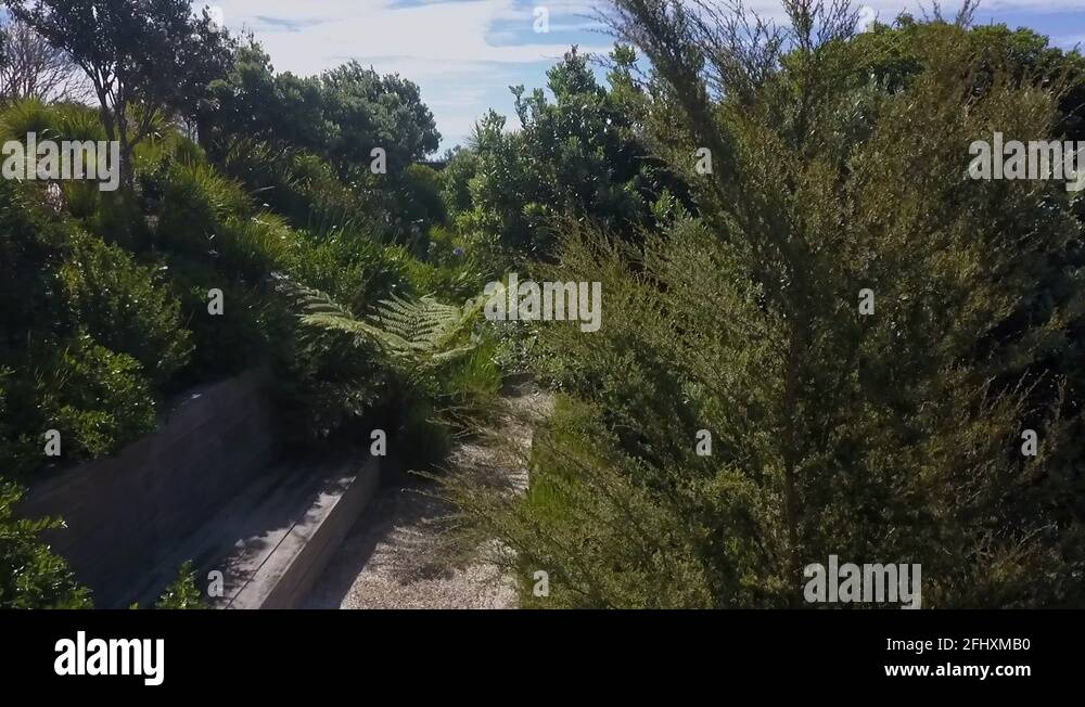 Fix view windy green tropical pathway on Waiheke island New Zealand ...