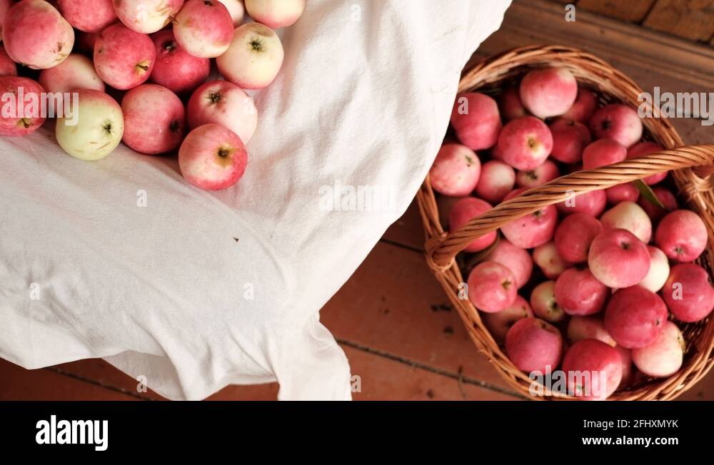 A lot of apples Stock Videos & Footage - HD and 4K Video Clips - Alamy