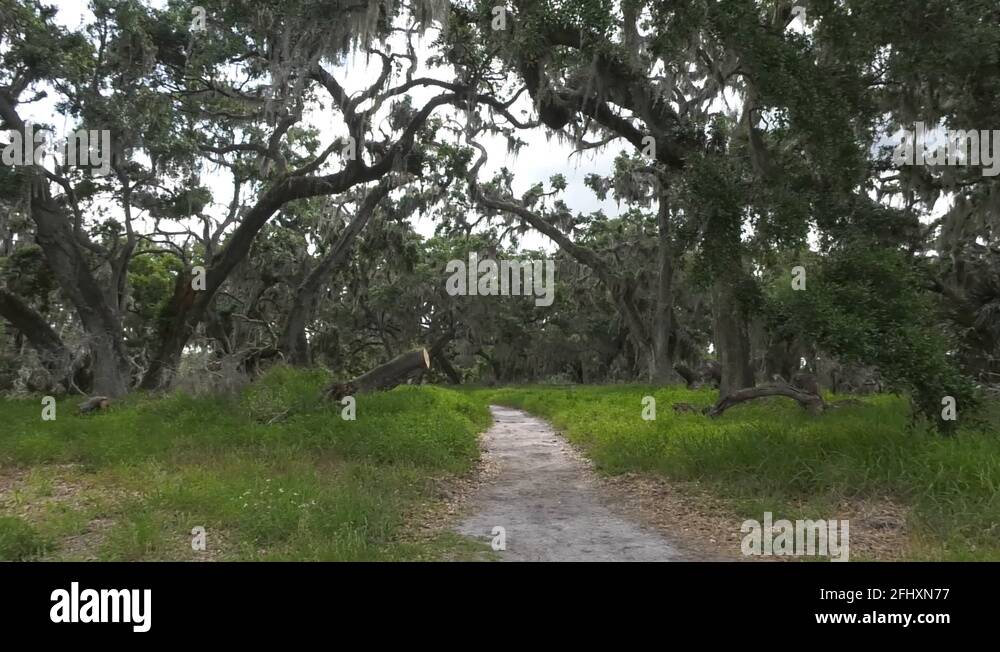 Florida pathways Stock Videos & Footage - HD and 4K Video Clips - Alamy