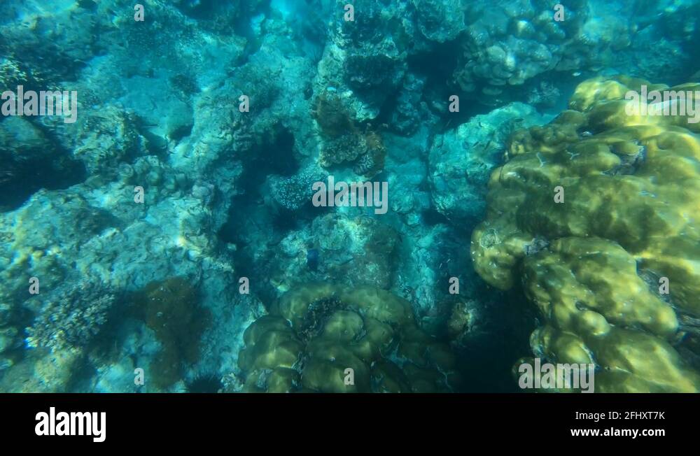 Underwater in ocean reflections water Stock Videos & Footage - HD and 4K Video Clips - Alamy