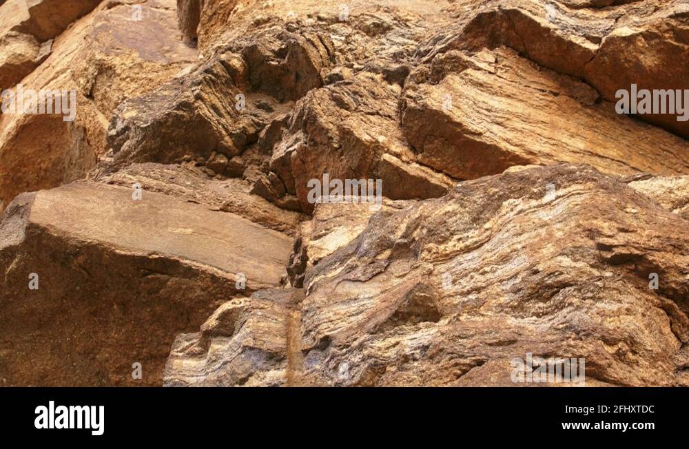 Rigid nature Stock Videos & Footage - HD and 4K Video Clips - Alamy