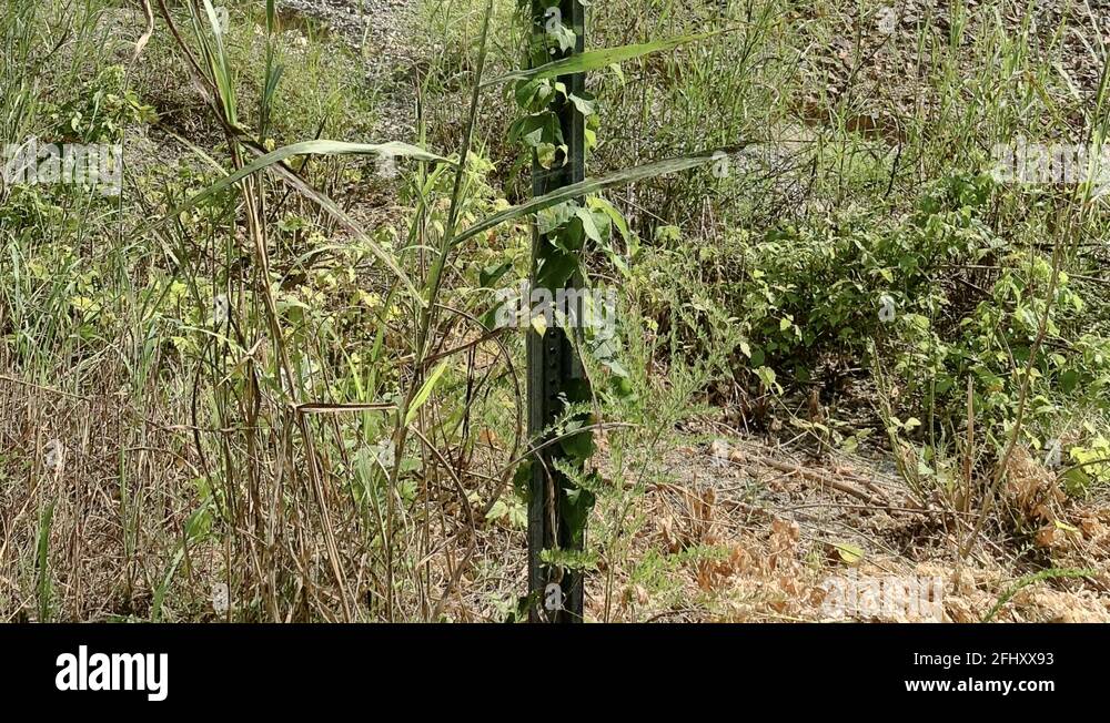 Relieve vertical Stock Videos & Footage - HD and 4K Video Clips - Alamy