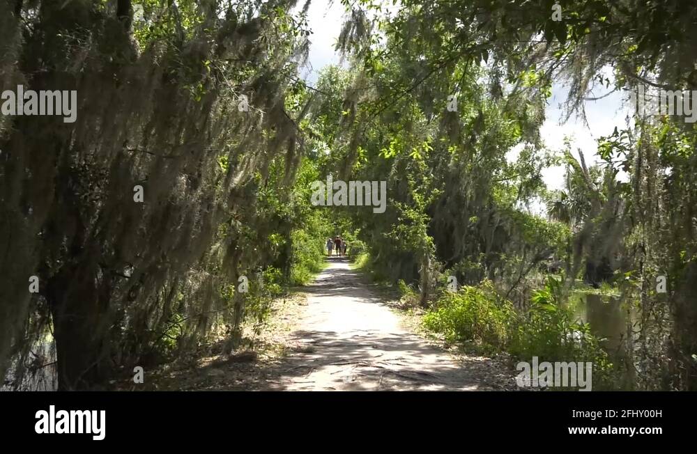 Ranch trail Stock Videos & Footage - HD and 4K Video Clips - Alamy