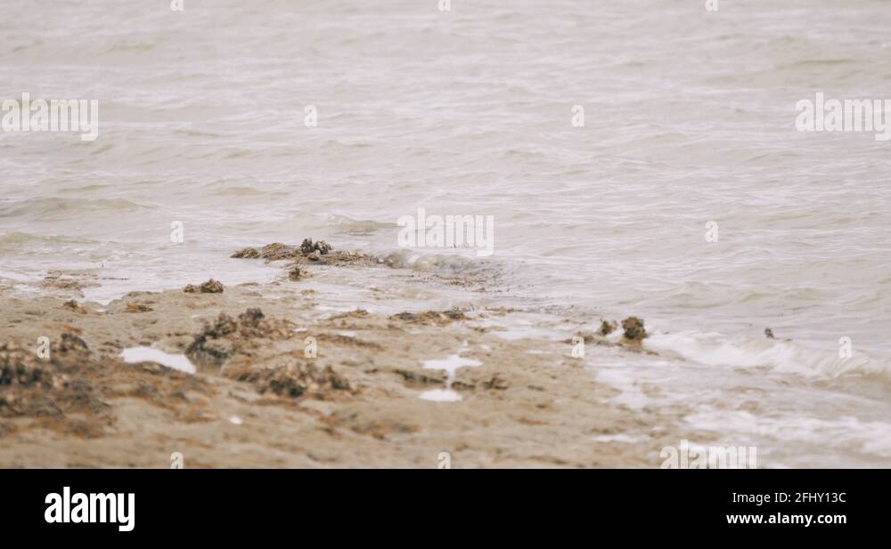 Water lapping the shore Stock Videos & Footage - HD and 4K Video Clips ...