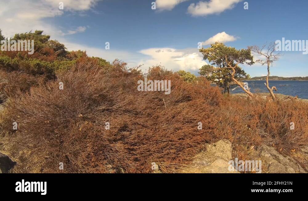 Pan view of trees and the bay from a rocky outcropping in Groos Park ...
