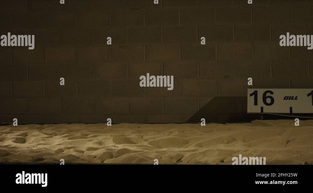 Long jump athlete sand Stock Videos & Footage - HD and 4K Video Clips ...