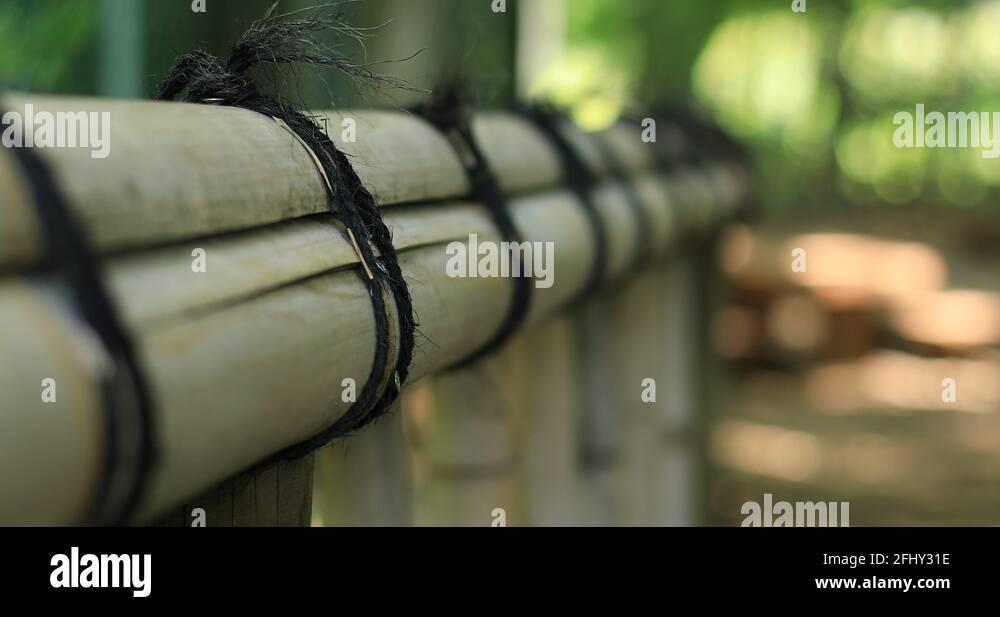 Bamboo handrail at Chikurin park in Tokyo close up front rack focus ...