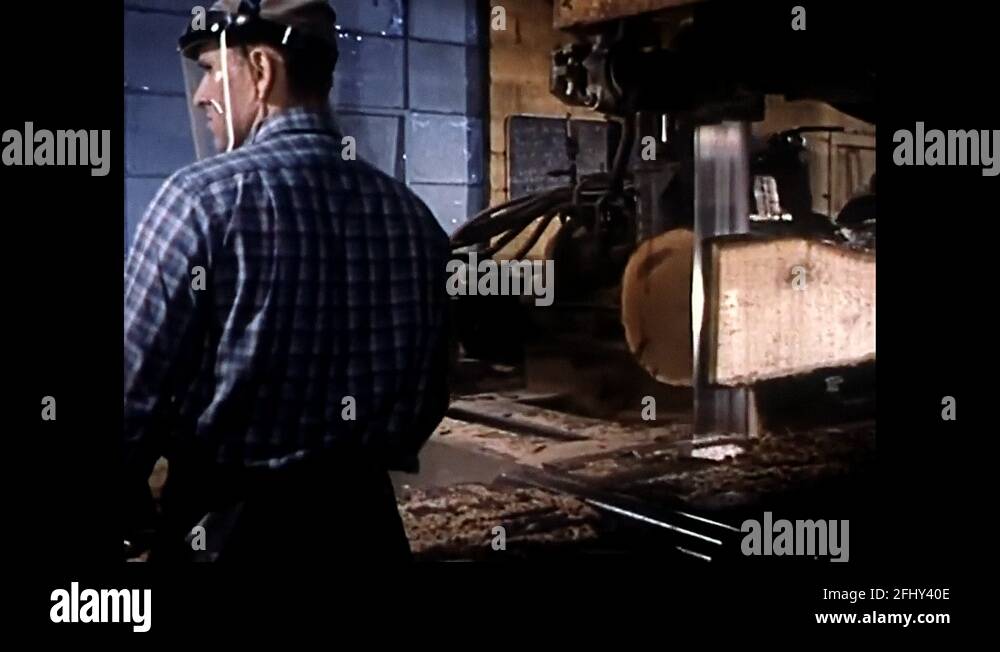 Log slicing Stock Videos & Footage - HD and 4K Video Clips - Alamy