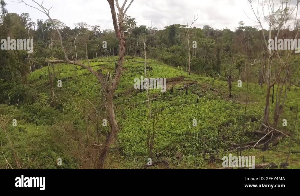Kribi cameroon africa Stock Videos & Footage - HD and 4K Video Clips ...