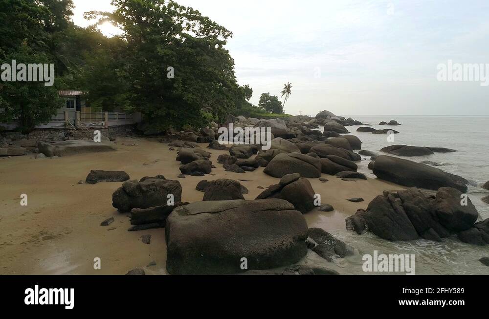 Flying shamrock Stock Videos & Footage - HD and 4K Video Clips - Alamy