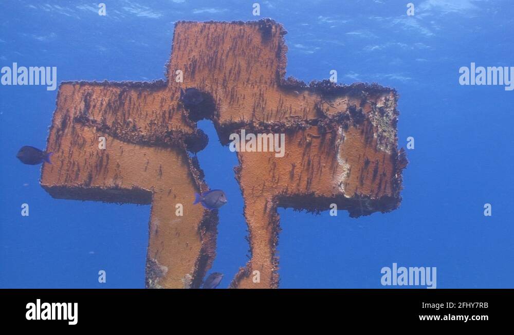 Dive of cross Stock Videos & Footage - HD and 4K Video Clips - Alamy