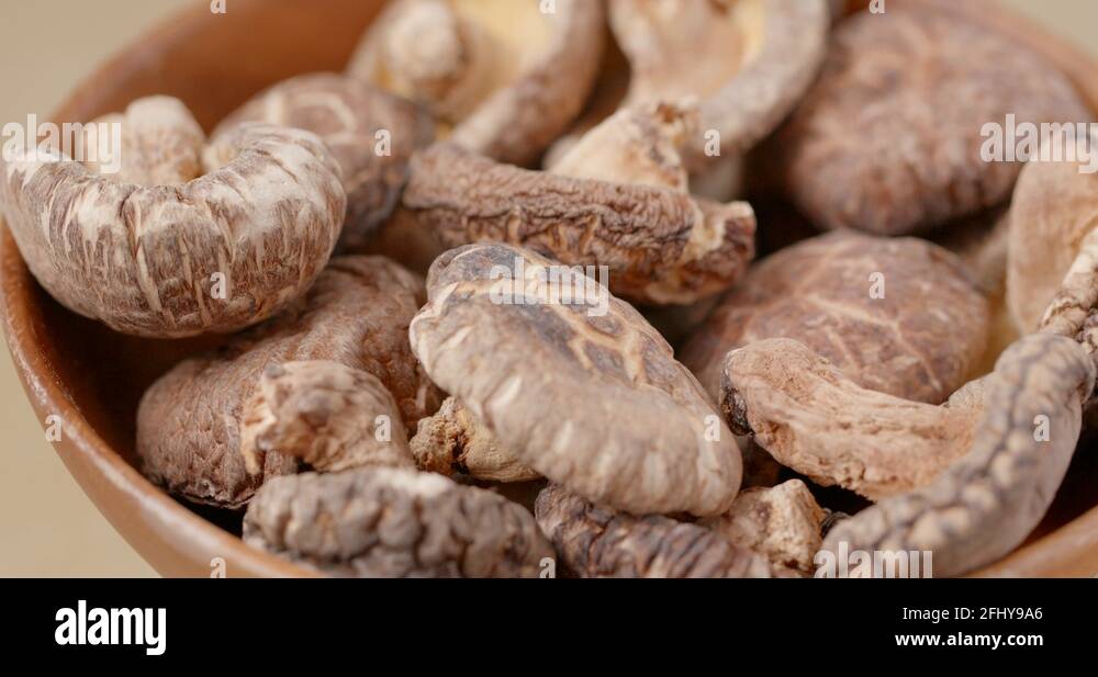 Spinning mushroom Stock Videos & Footage - HD and 4K Video Clips - Alamy