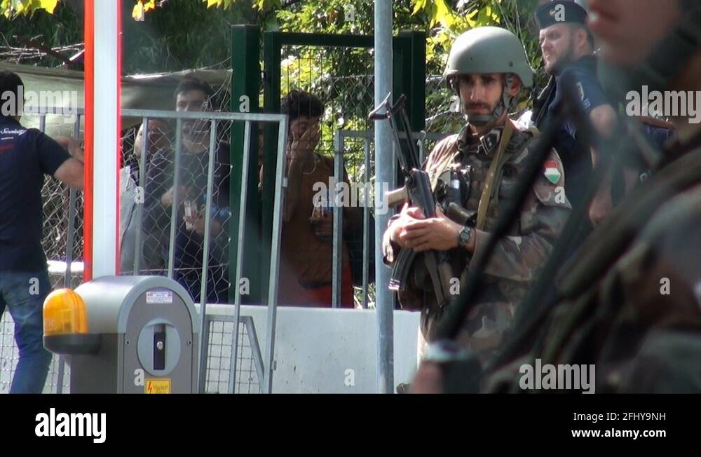 Ak 47 assault rifles Stock Videos & Footage - HD and 4K Video Clips - Alamy