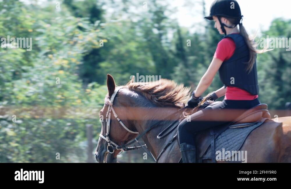 Young horse rider Stock Videos & Footage - HD and 4K Video Clips - Alamy
