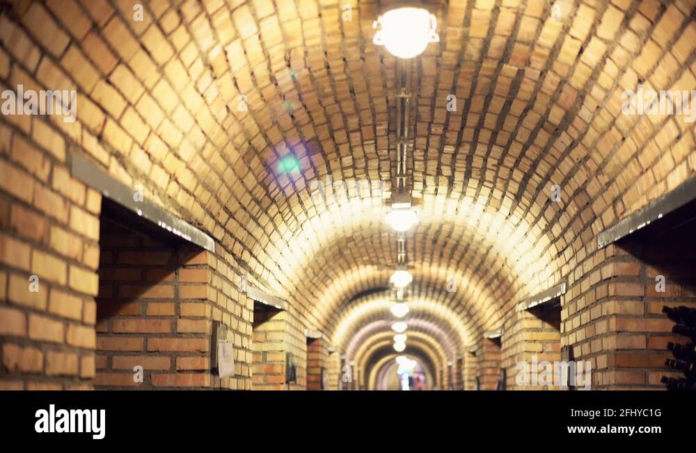 Passage along the long corridor of the traditional wine cellar. 4K (UHD ...