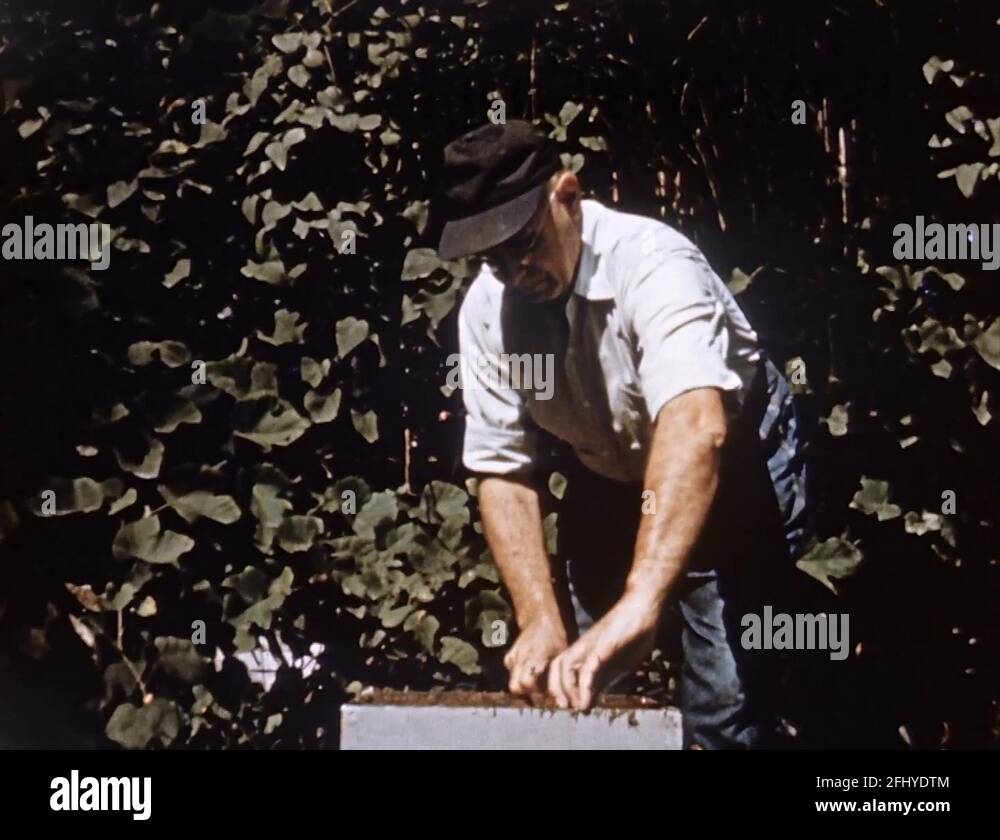 Historical beekeeper Stock Videos & Footage - HD and 4K Video Clips - Alamy