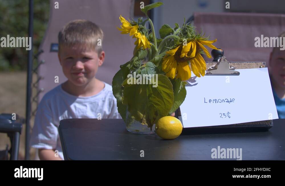 Boy lemonade stand Stock Videos & Footage - HD and 4K Video Clips - Alamy