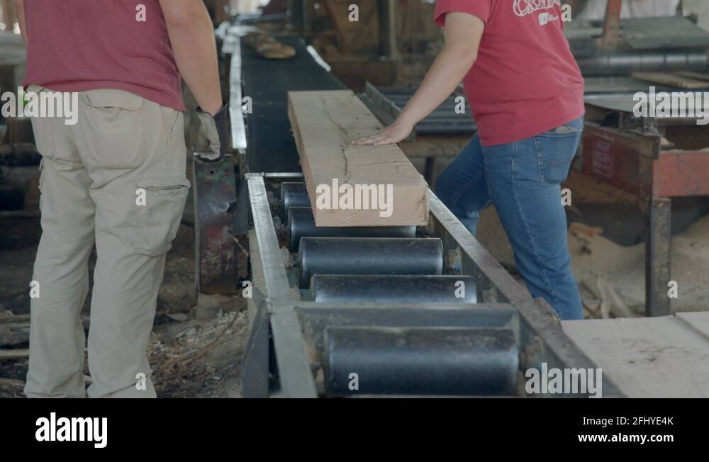 Log rollers Stock Videos & Footage - HD and 4K Video Clips - Alamy