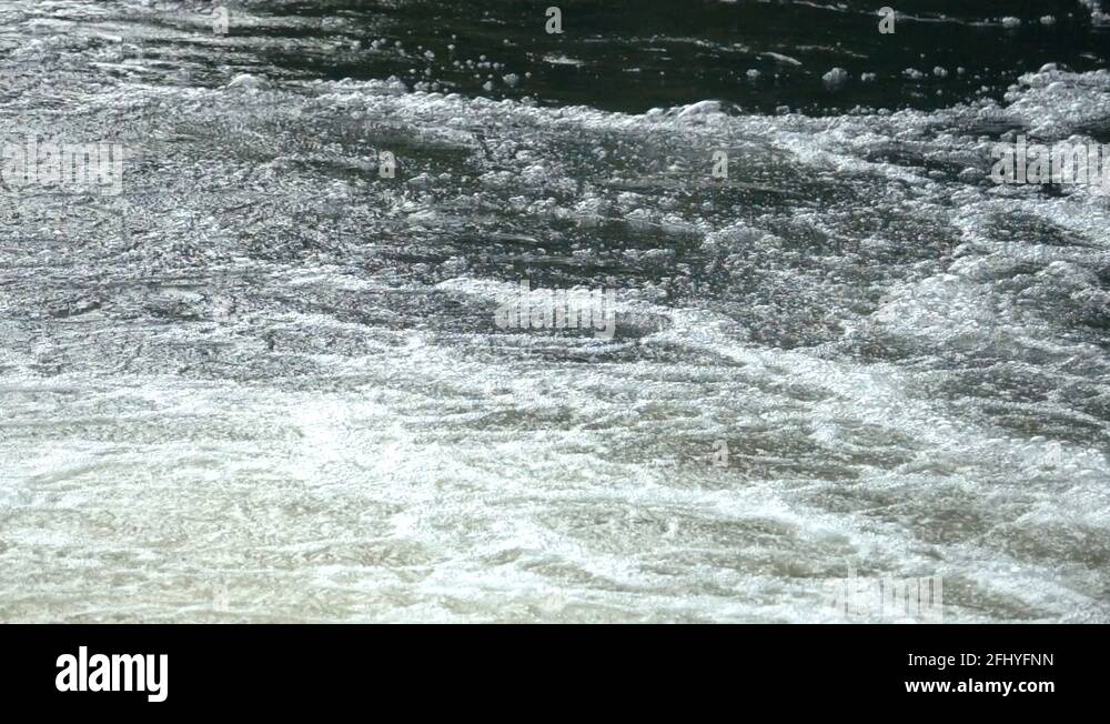 Salmo salar river Stock Videos & Footage - HD and 4K Video Clips - Alamy