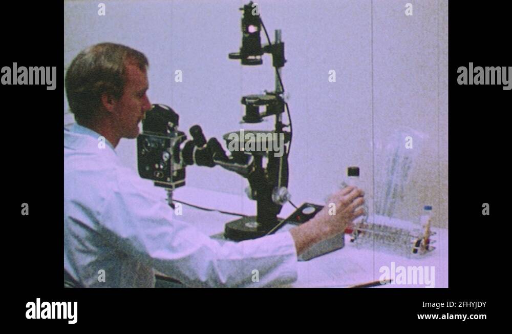 1980s: UNITED STATES: scientist looks at petri dishes under microscope ...