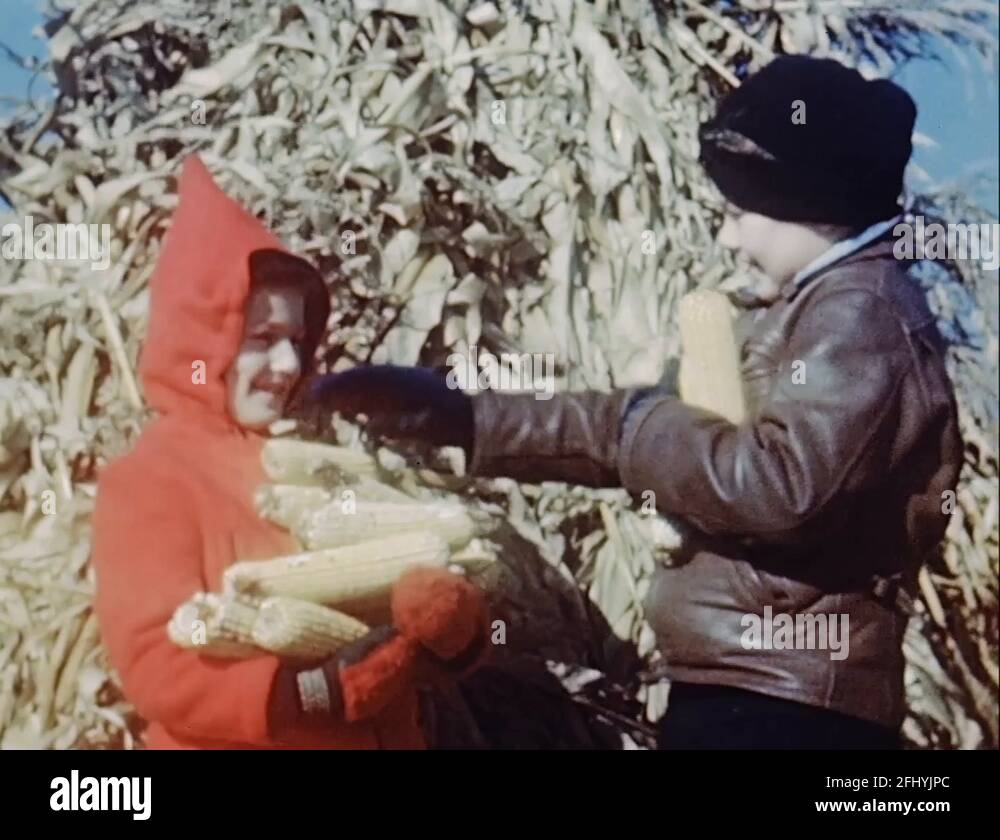 Corn merchant Stock Videos & Footage - HD and 4K Video Clips - Alamy