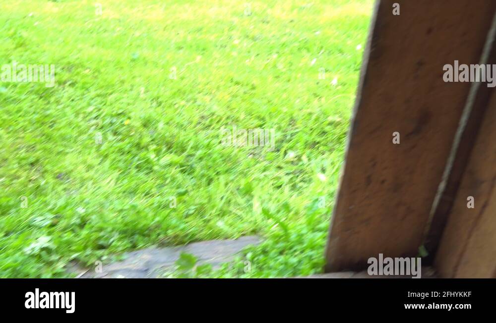 Latrine toilet Stock Videos & Footage - HD and 4K Video Clips - Alamy