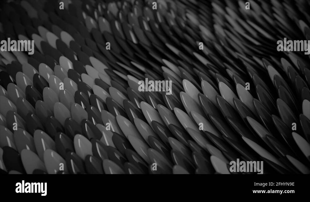 Seamless scales snake skin texture Stock Videos & Footage - HD and 4K ...