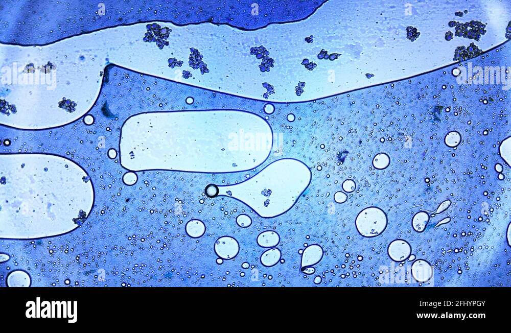 Bleach liquid Stock Videos & Footage - HD and 4K Video Clips - Alamy