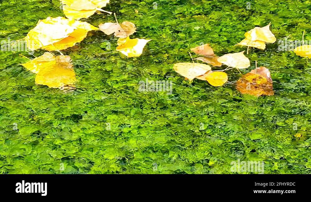 Floating motion Stock Videos & Footage - HD and 4K Video Clips - Alamy