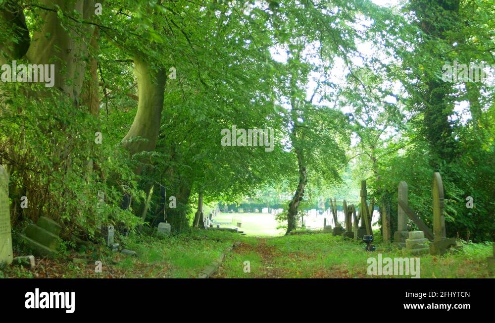 Path through the cemetery Stock Videos & Footage - HD and 4K Video ...