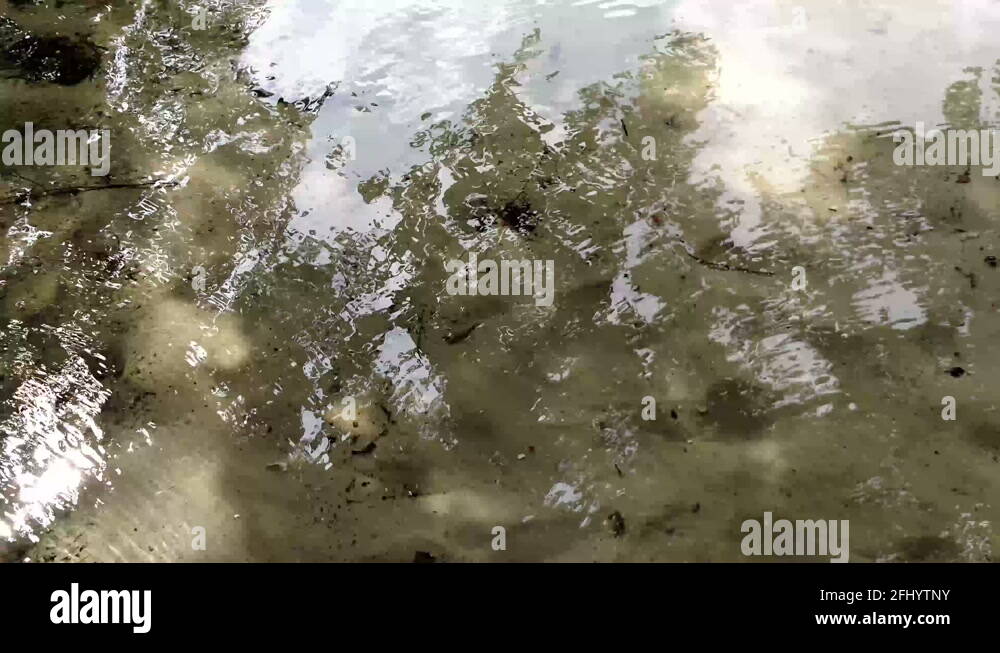 Transparent see through Stock Videos & Footage - HD and 4K Video Clips ...