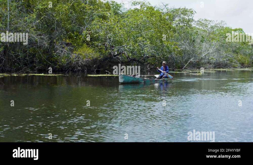 Mayan canoe Stock Videos & Footage - HD and 4K Video Clips - Alamy