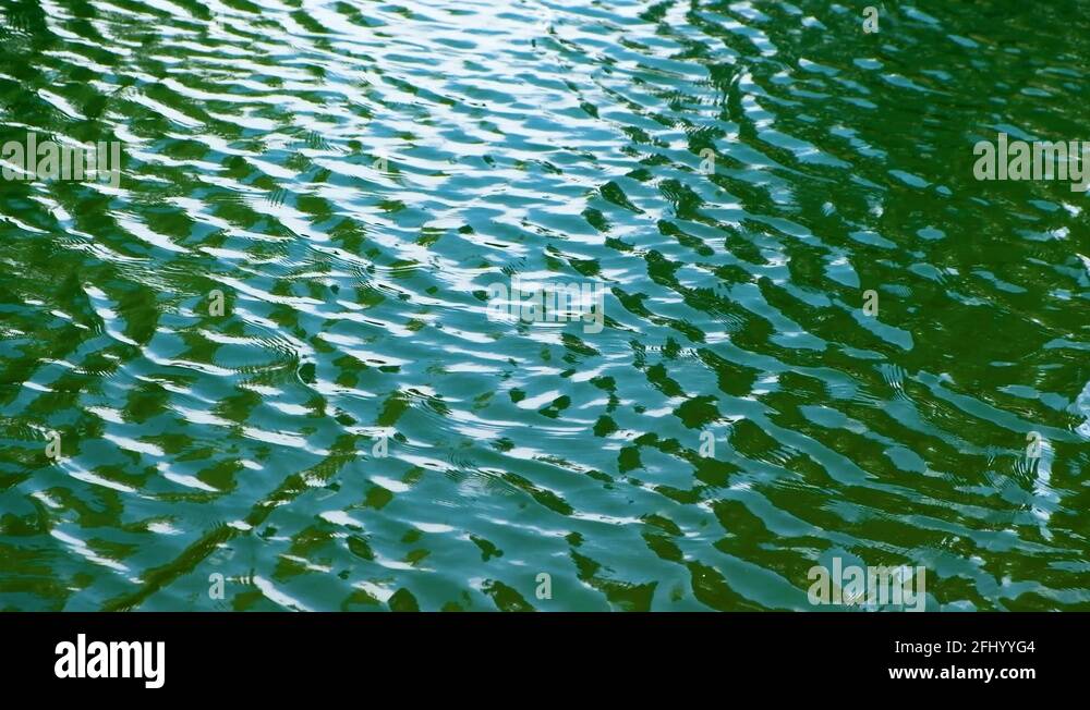 Wind on water Stock Videos & Footage - HD and 4K Video Clips - Alamy