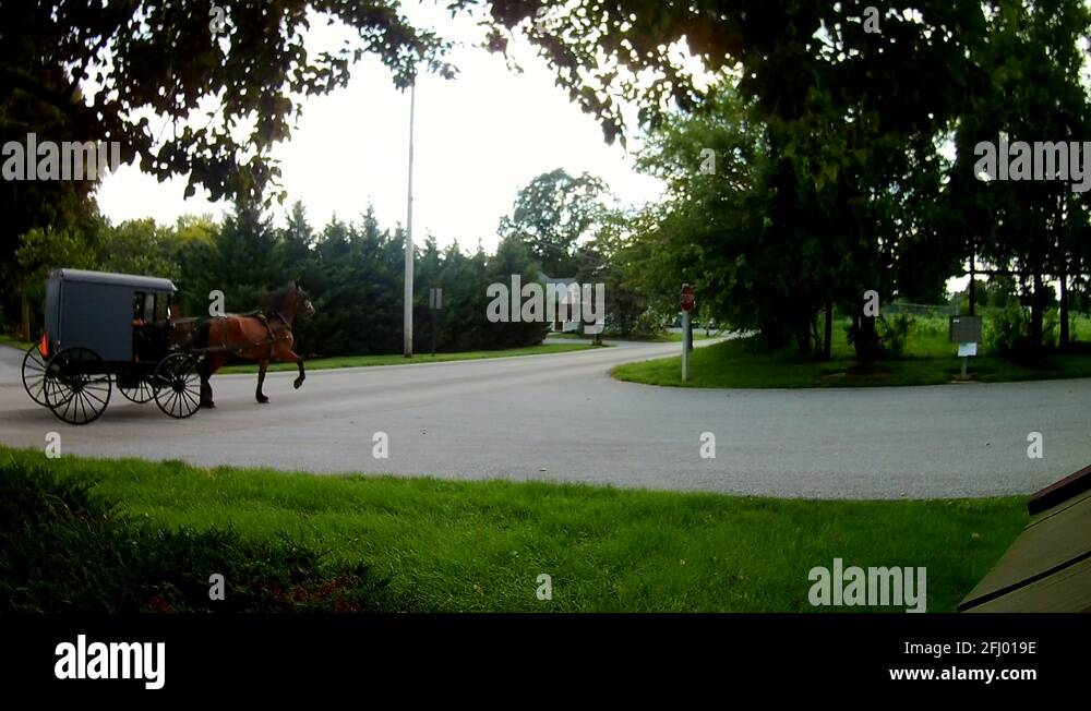 Amish transportation Stock Videos & Footage - HD and 4K Video Clips - Alamy