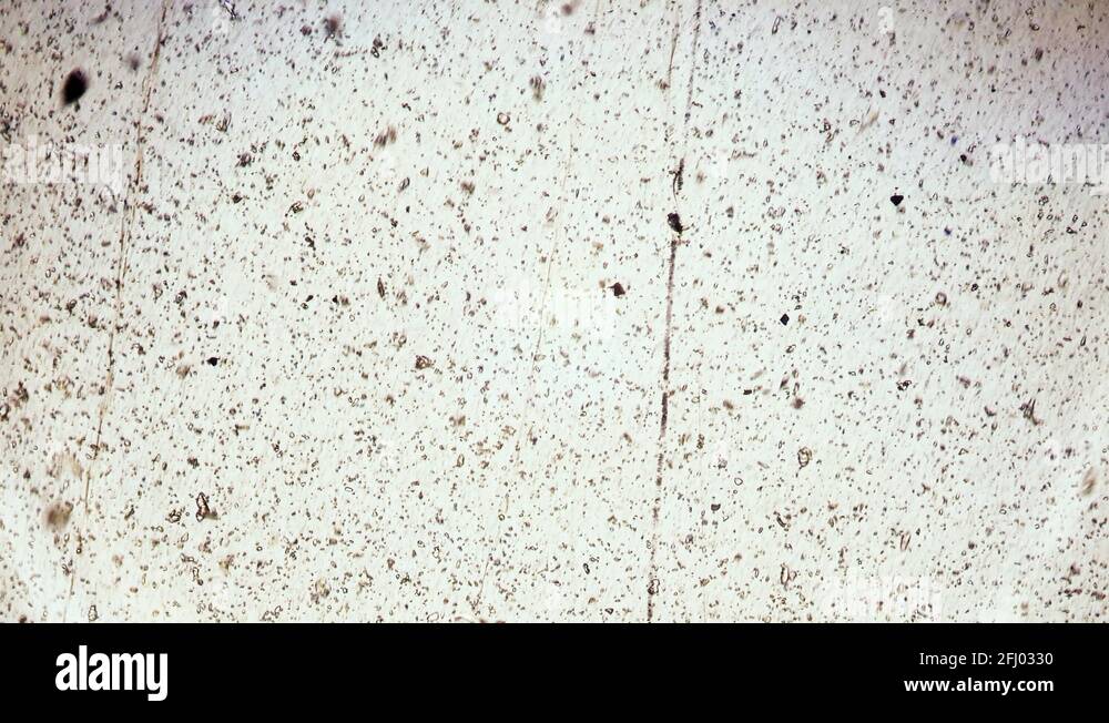 Glass texture microscope Stock Videos & Footage - HD and 4K Video Clips ...