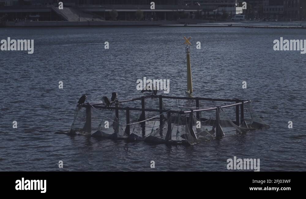 Fishing net in harbour Stock Videos & Footage - HD and 4K Video Clips ...