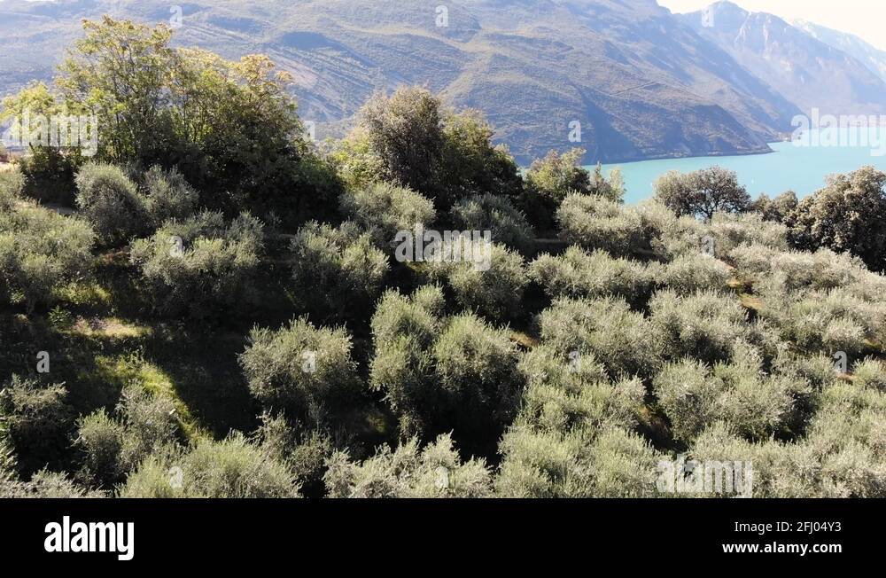 Riva torbole Stock Videos & Footage - HD and 4K Video Clips - Alamy