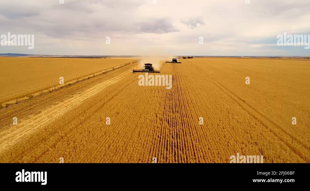 Australian line Stock Videos & Footage - HD and 4K Video Clips - Alamy