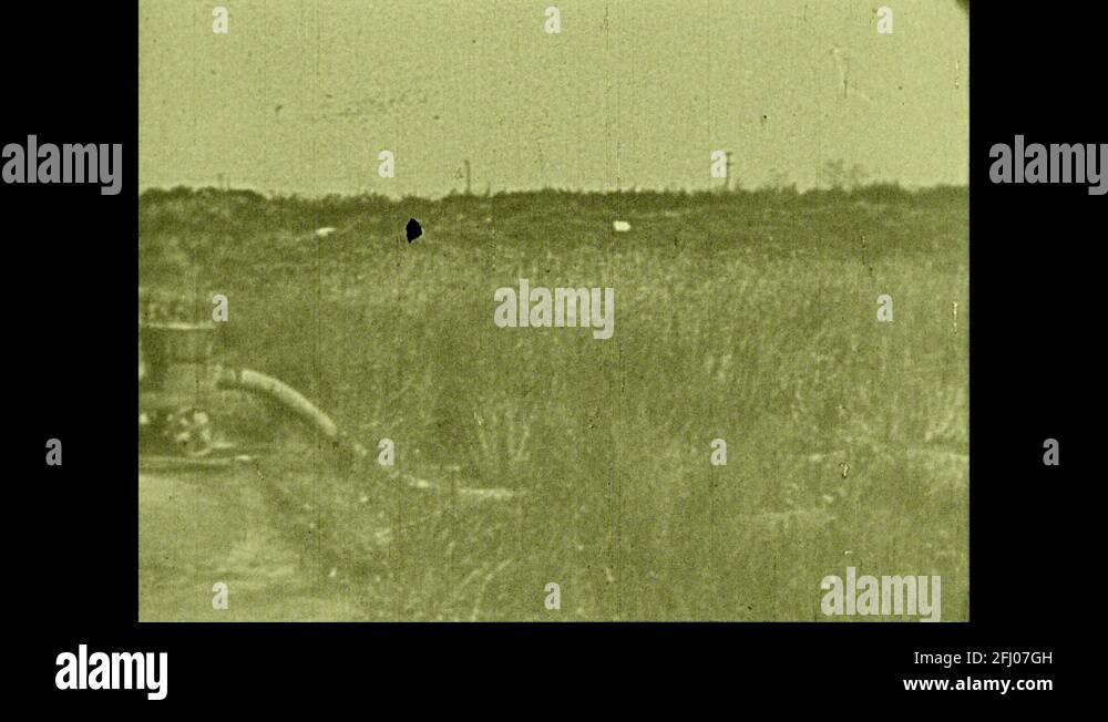 Drain the swamp Stock Videos & Footage - HD and 4K Video Clips - Alamy