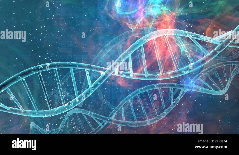 Biology and evolution Stock Videos & Footage - HD and 4K Video Clips ...