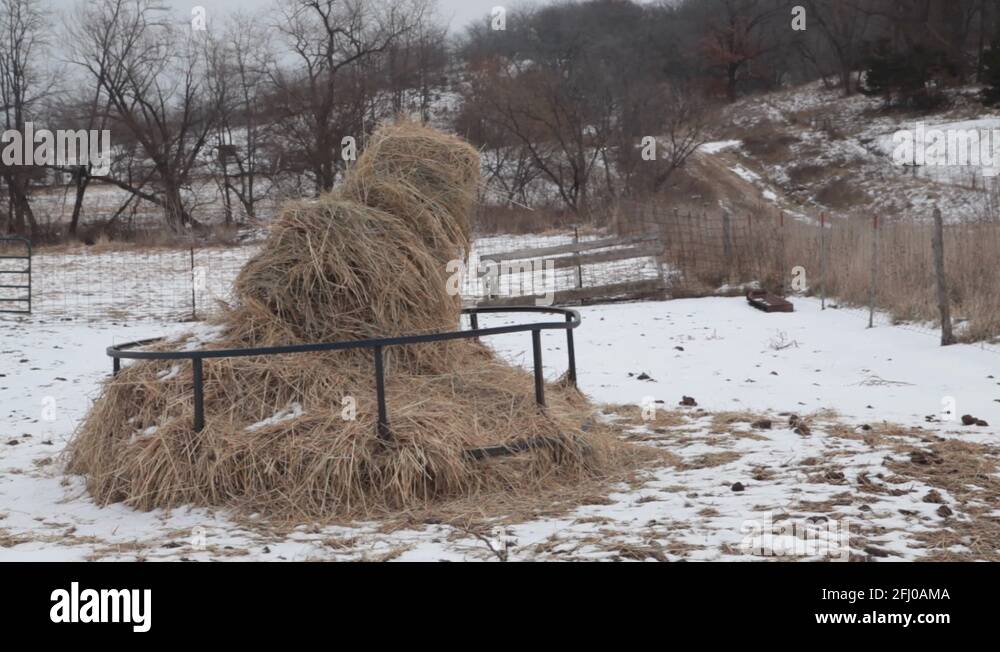 Winter farm scene Stock Videos & Footage - HD and 4K Video Clips - Alamy