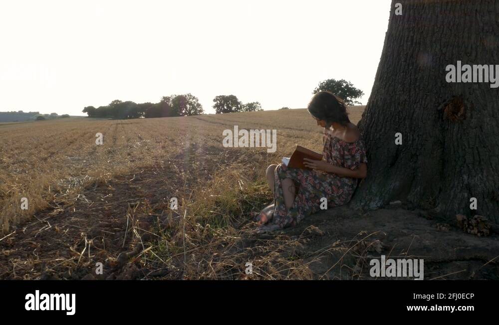 Reading up a tree Stock Videos & Footage - HD and 4K Video Clips - Alamy