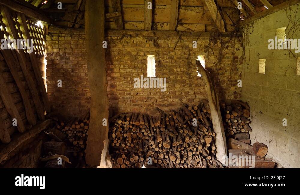 How to stack logs for drying Stock Videos & Footage - HD and 4K Video ...