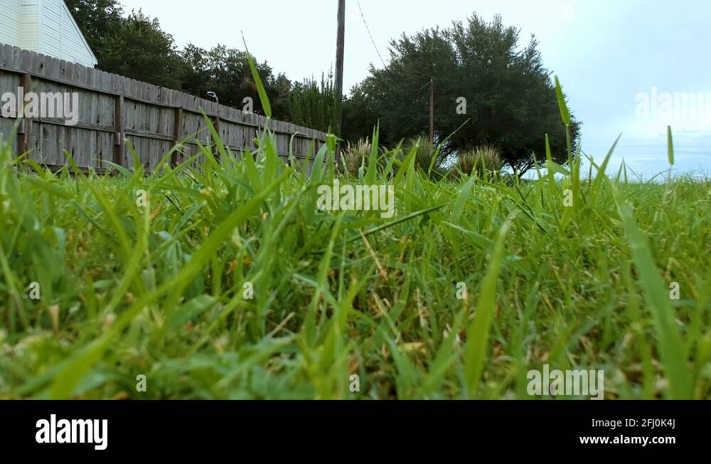 Nuisance flying insects Stock Videos & Footage - HD and 4K Video Clips ...