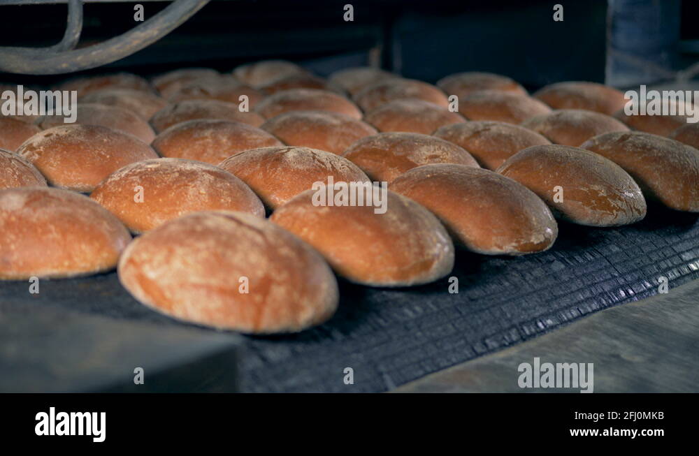 Loaves of bread moving on a conveyor, close up Stock Video Footage - Alamy
