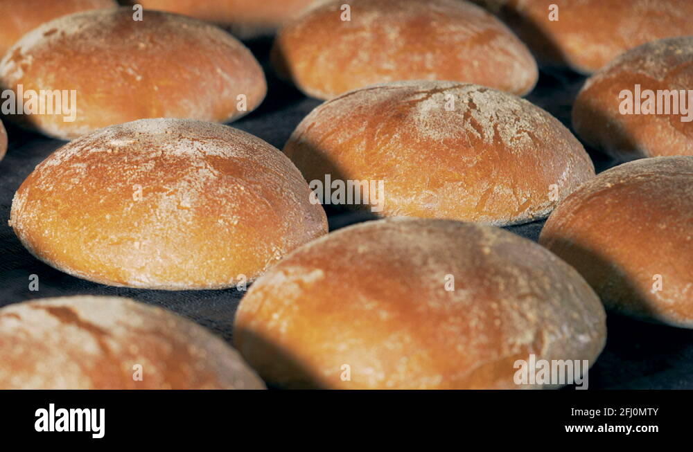 Rows of bread, close up. Bakery conveyor moves loaves of bread Stock ...
