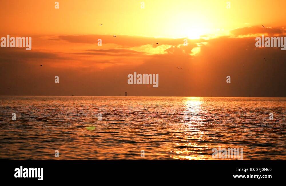 Unpolluted sea Stock Videos & Footage - HD and 4K Video Clips - Alamy