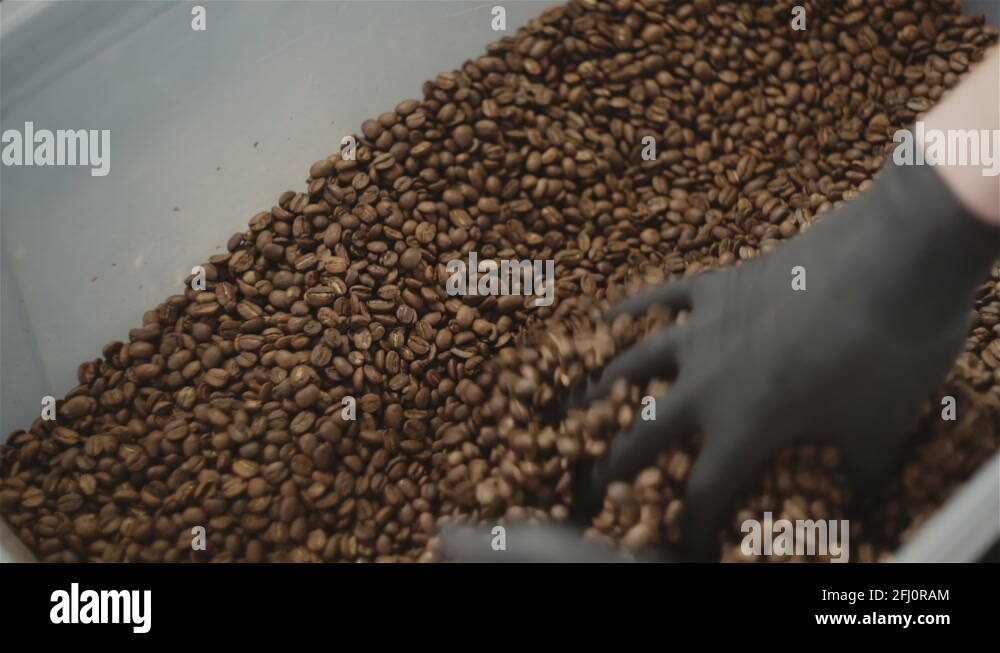 Baked beans man Stock Videos & Footage - HD and 4K Video Clips - Alamy